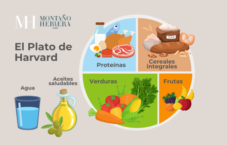 Crea platos saludables y equilibrados con el Plato de Harvard
